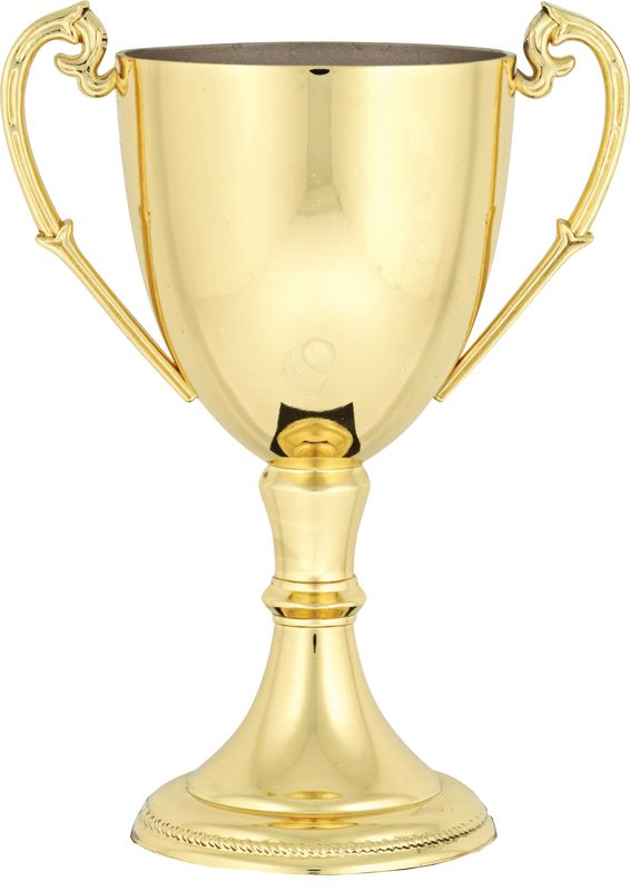 Gold Metal Cup - Trophy Company
